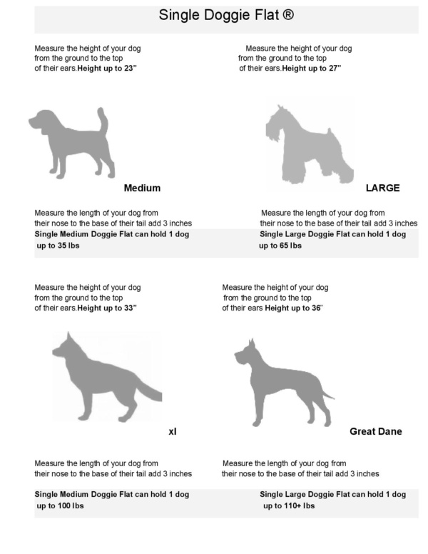 Dog Size Chart – Elons